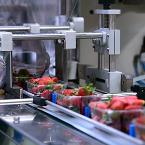 laser-alignment-for-food-packaging-industry | Pinpoint Laser Systems